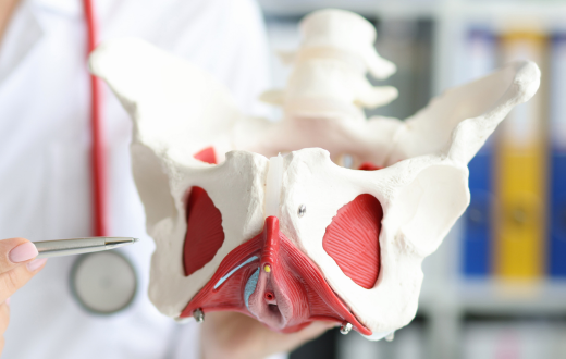 Why maintaining a healthy pelvic floor is important for women ...