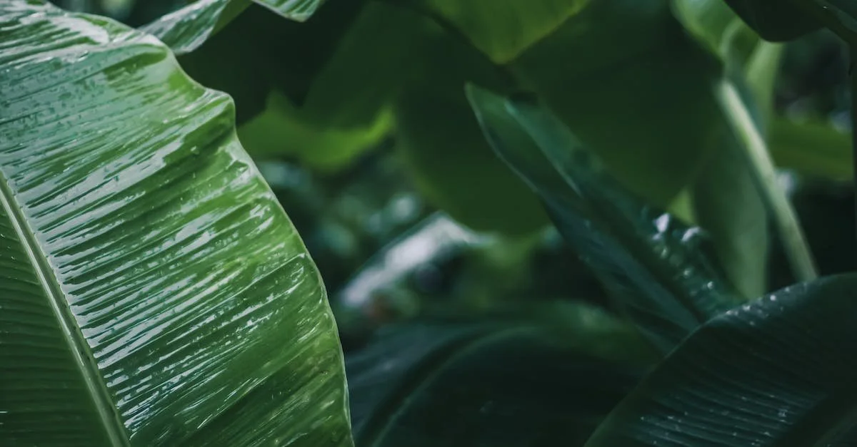 bone kettle I Weekend Brunch | Asian Flavors in Old Pasadena