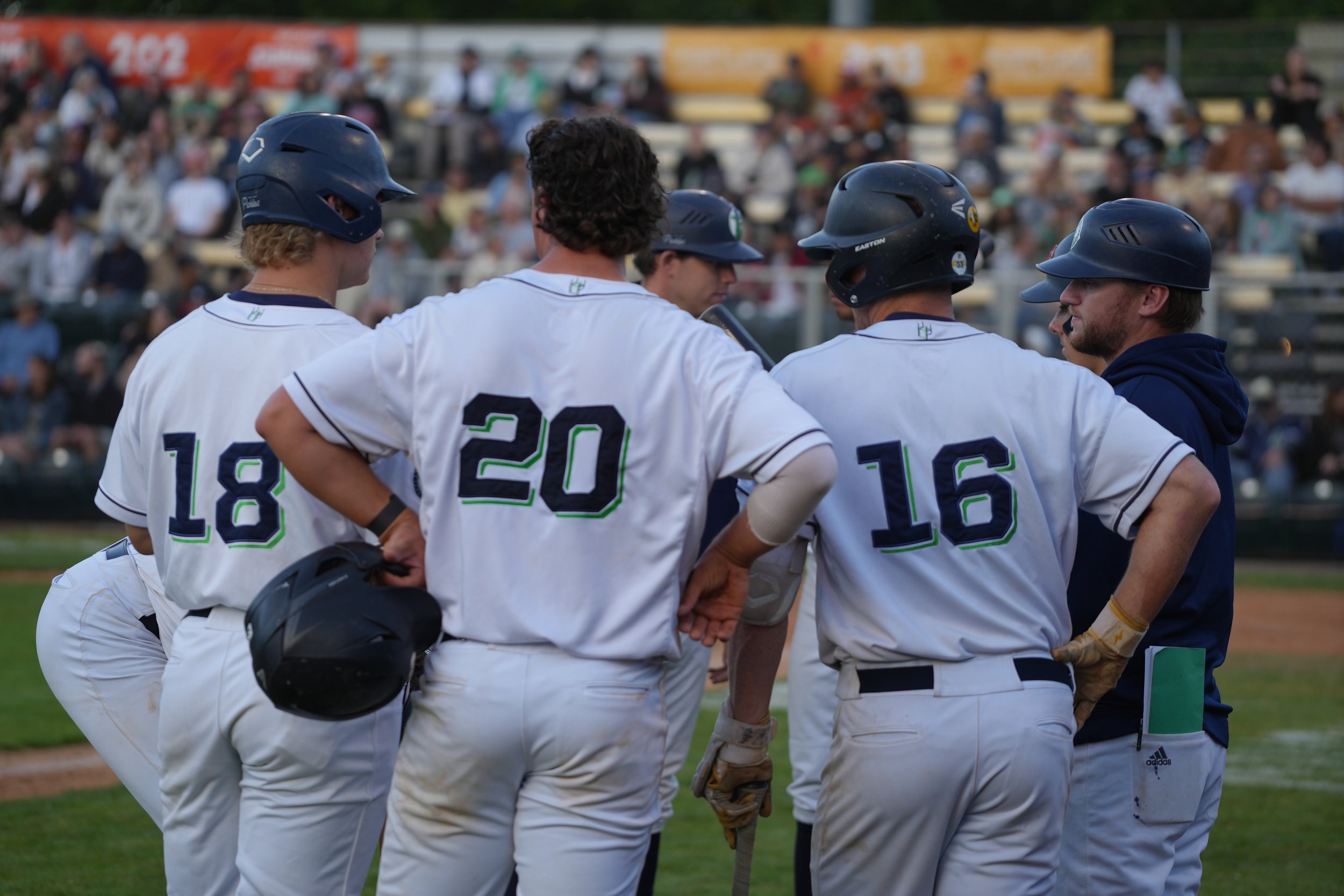 Blog 3 — PORTLAND PICKLES BASEBALL