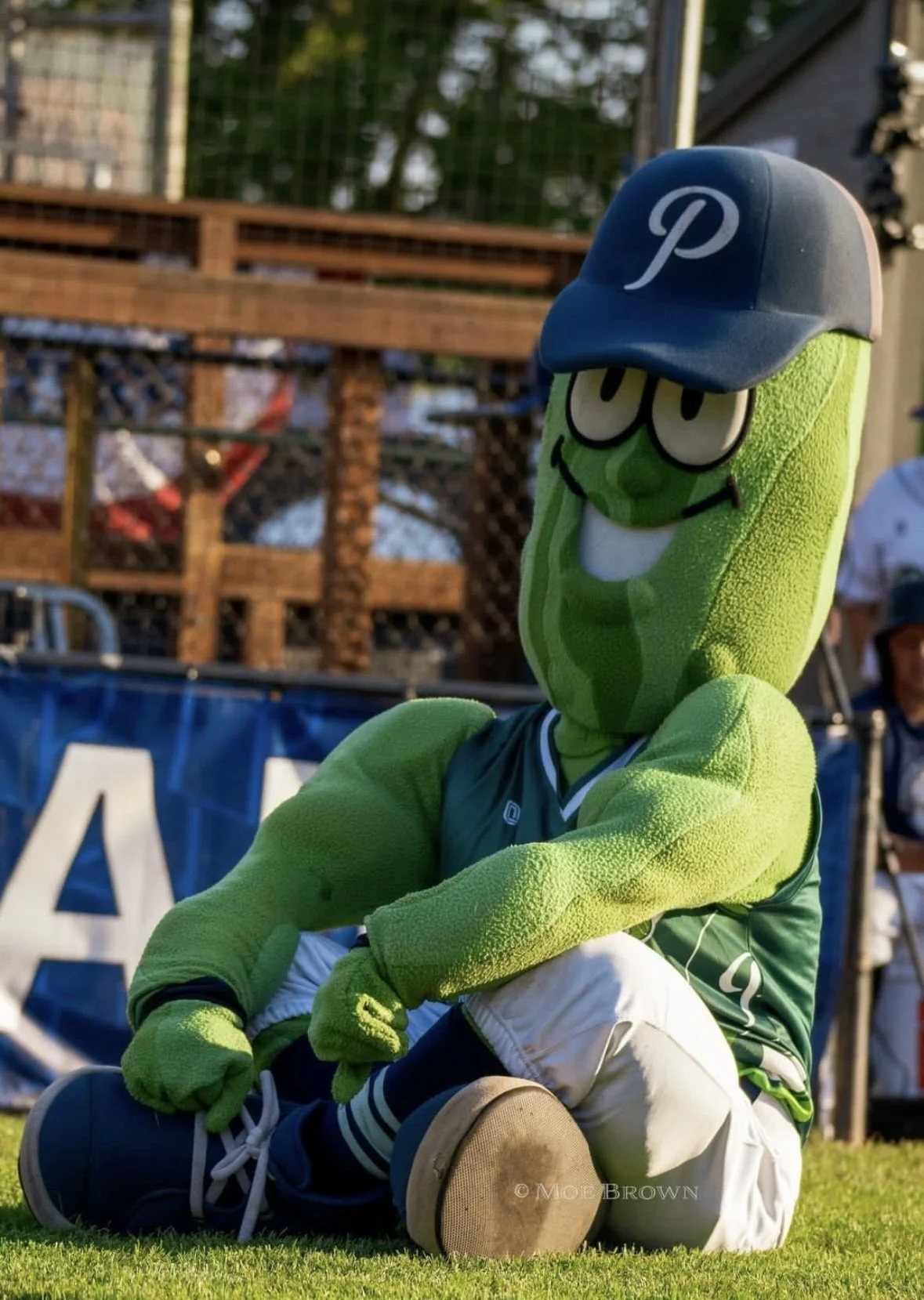 About 1 — PORTLAND PICKLES BASEBALL
