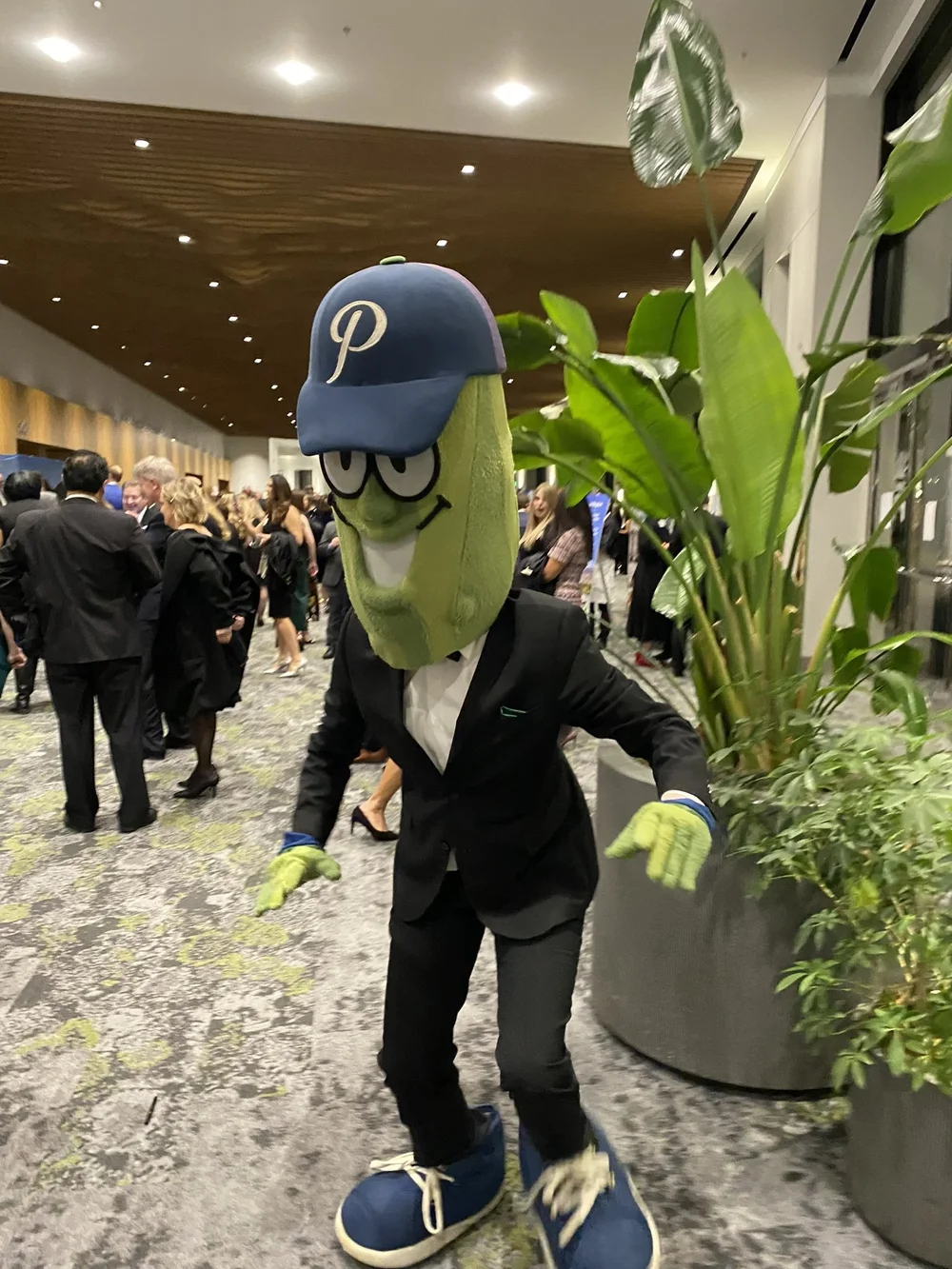 Dillon For Hire — PORTLAND PICKLES BASEBALL