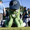 About 1 — PORTLAND PICKLES BASEBALL