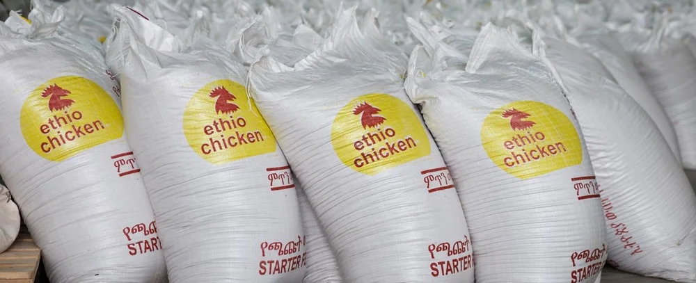 Feed — EthioChicken
