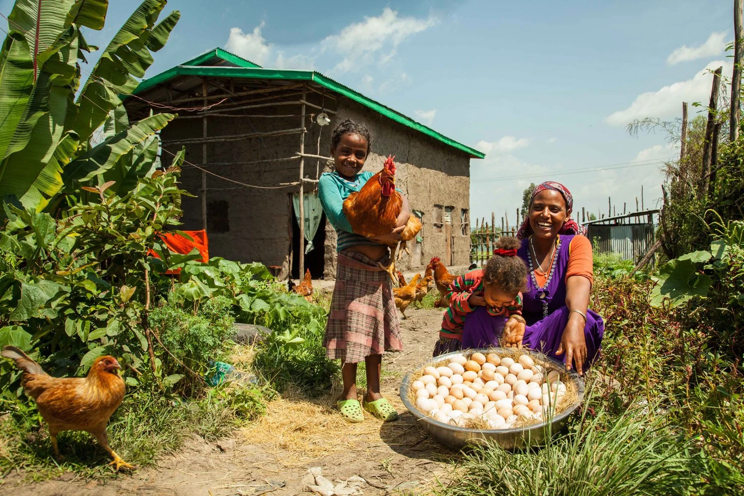 About Us Ethiochicken