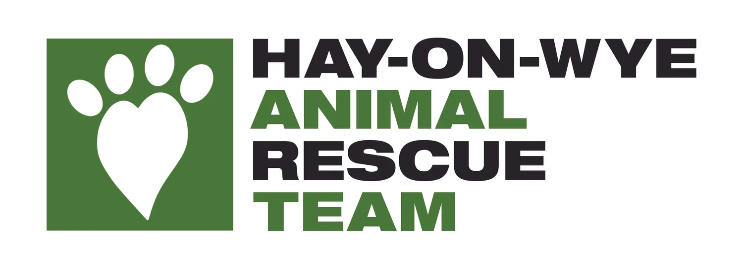 Hay Animal Rescue Team