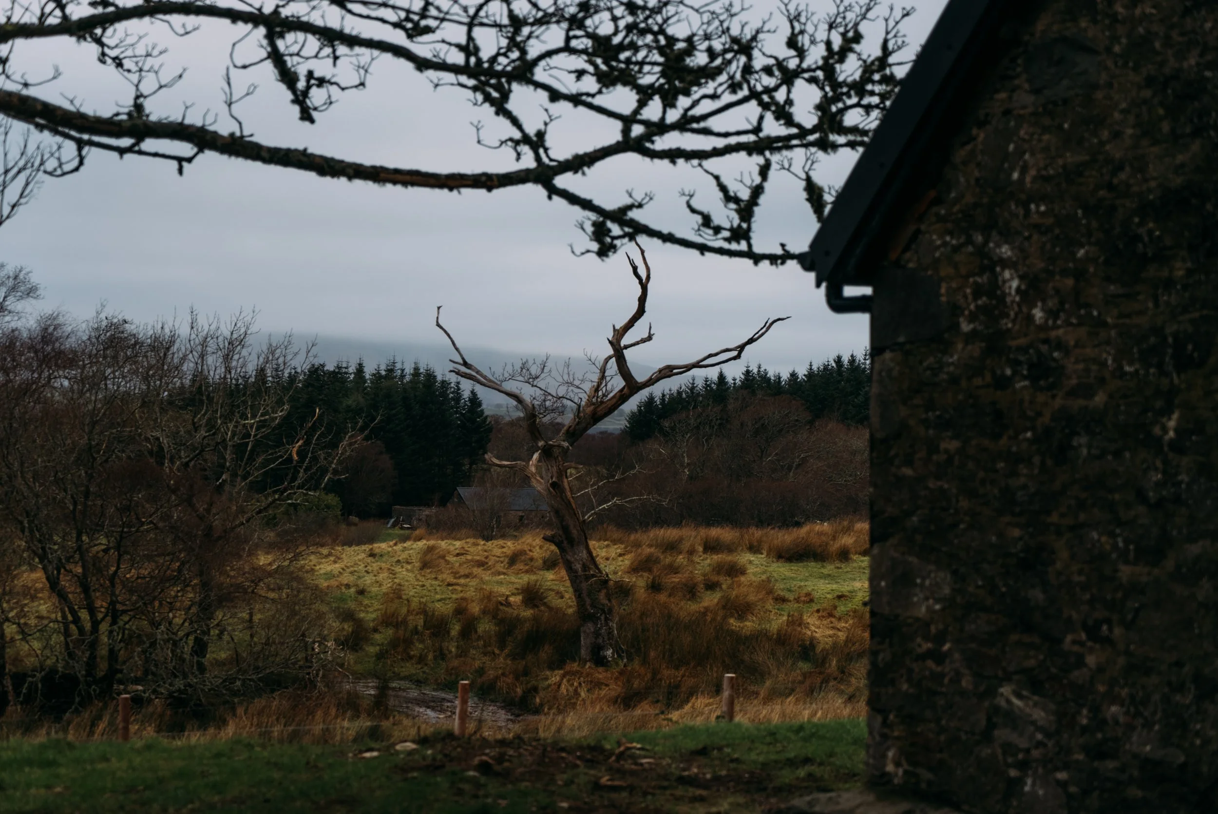 Estate — Lochnell Estate
