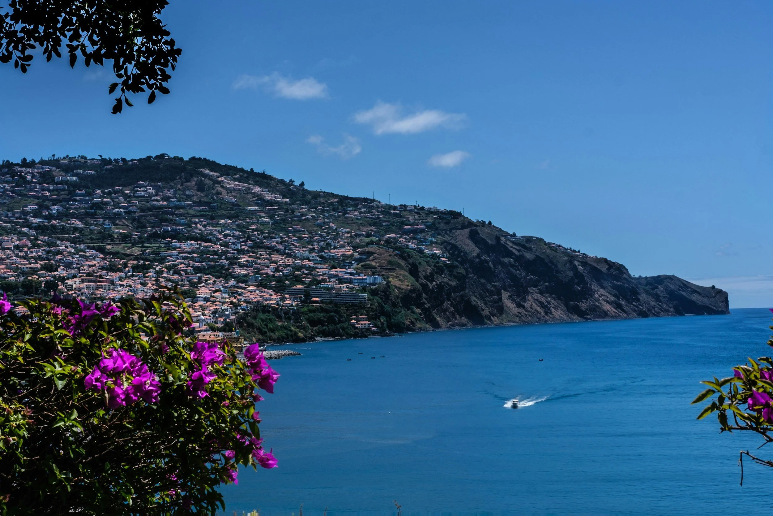 Best Time to Visit Madeira: Month-by-Month Guide 2026 | Olá Madeira