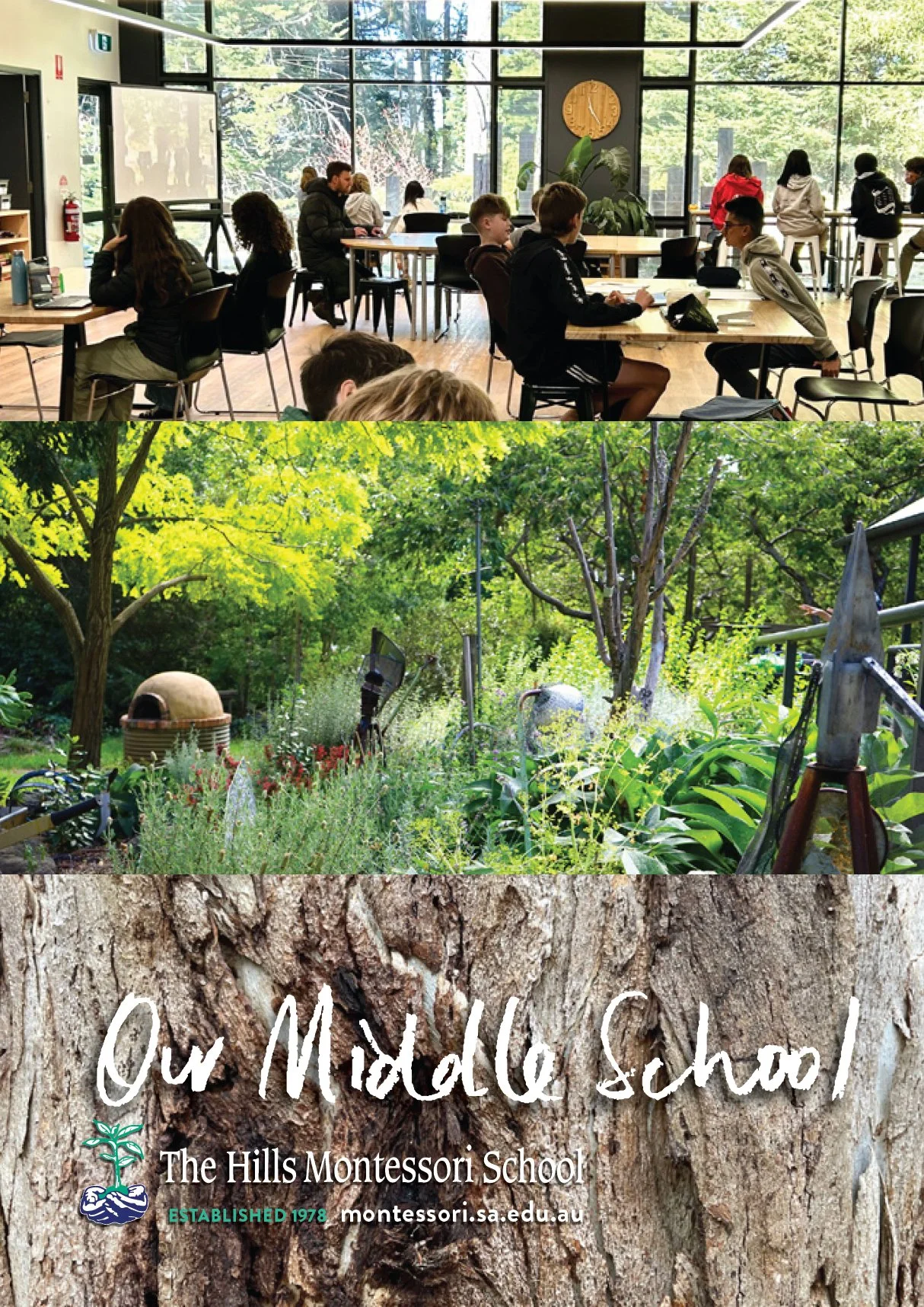 Middle School — The Hills Montessori School