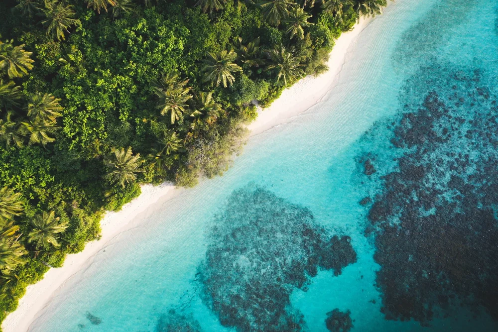 NATURAL GRACE - We Can Do It Better For People and Planet