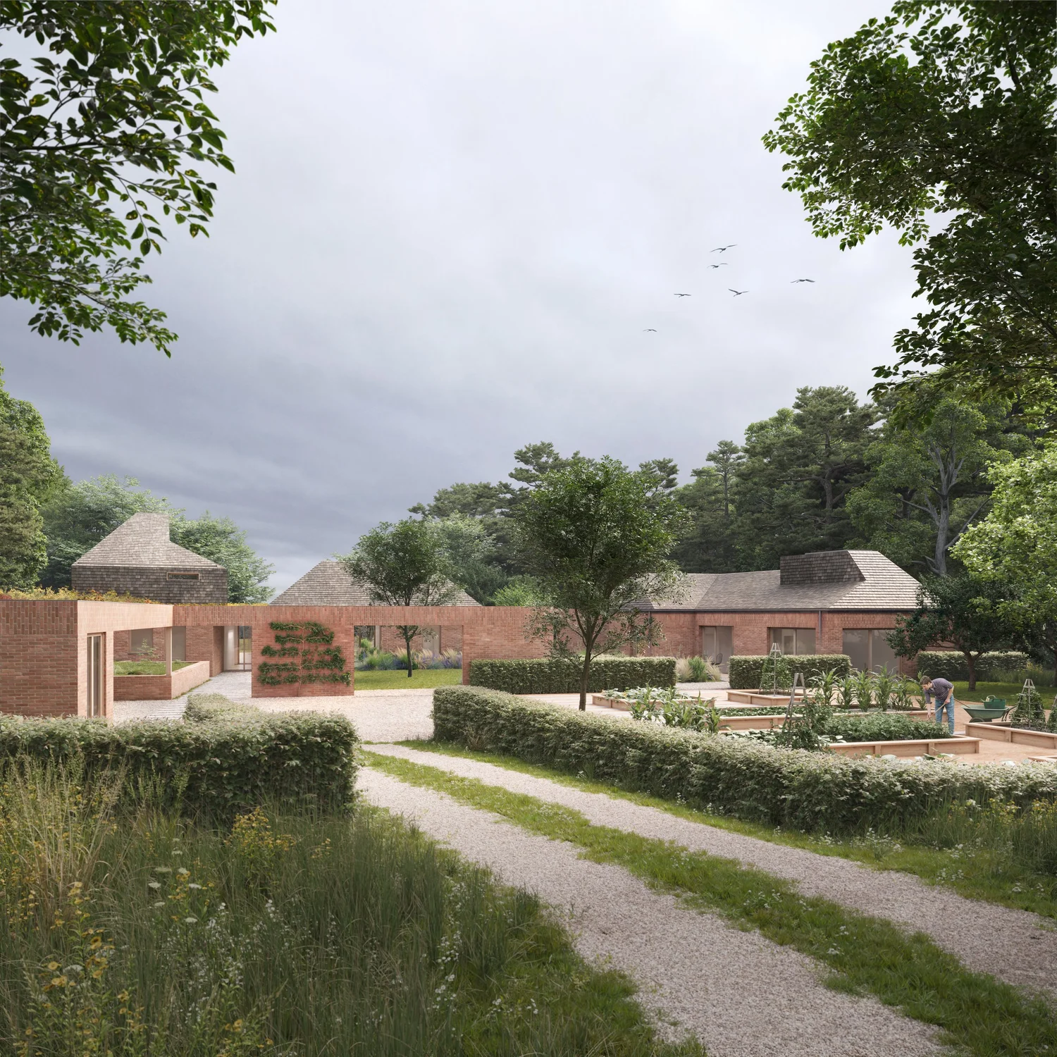 Forest Lodge — Andrew Chard