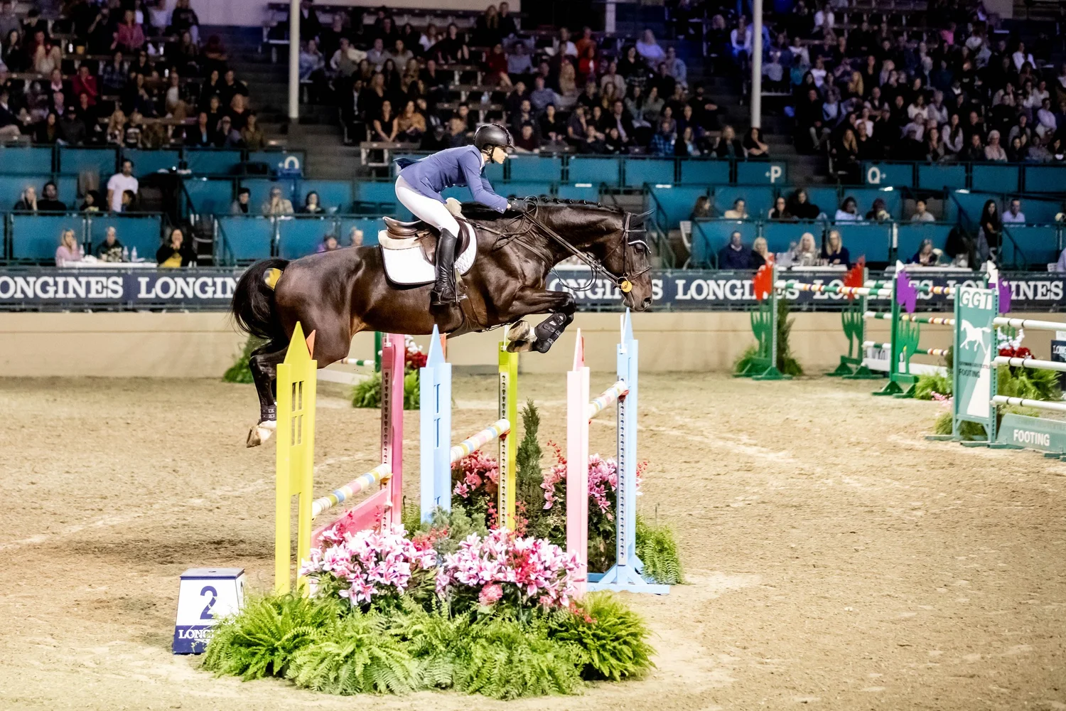 Horse Shows — Tina Fitch Photography