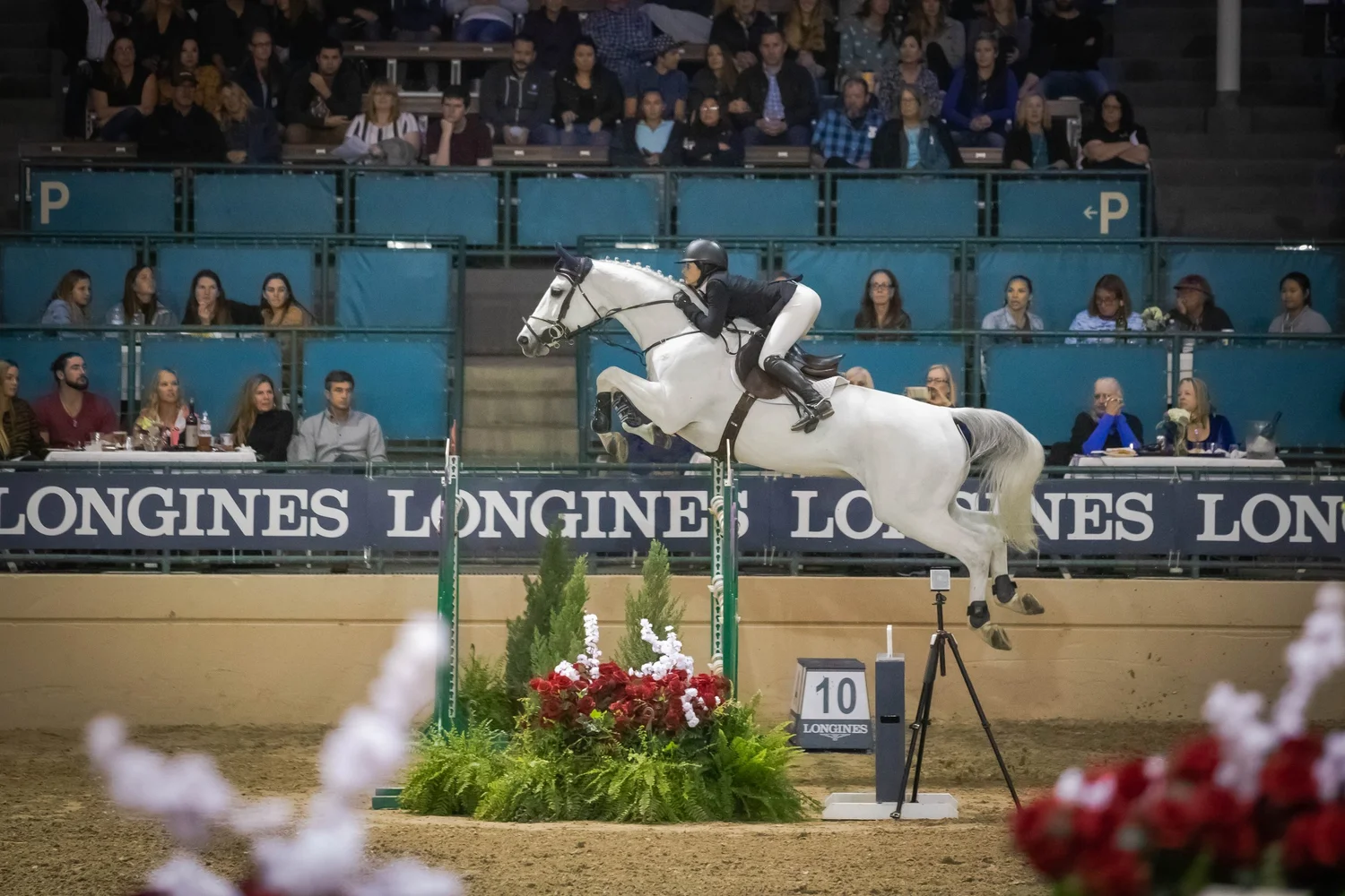 Horse Shows — Tina Fitch Photography