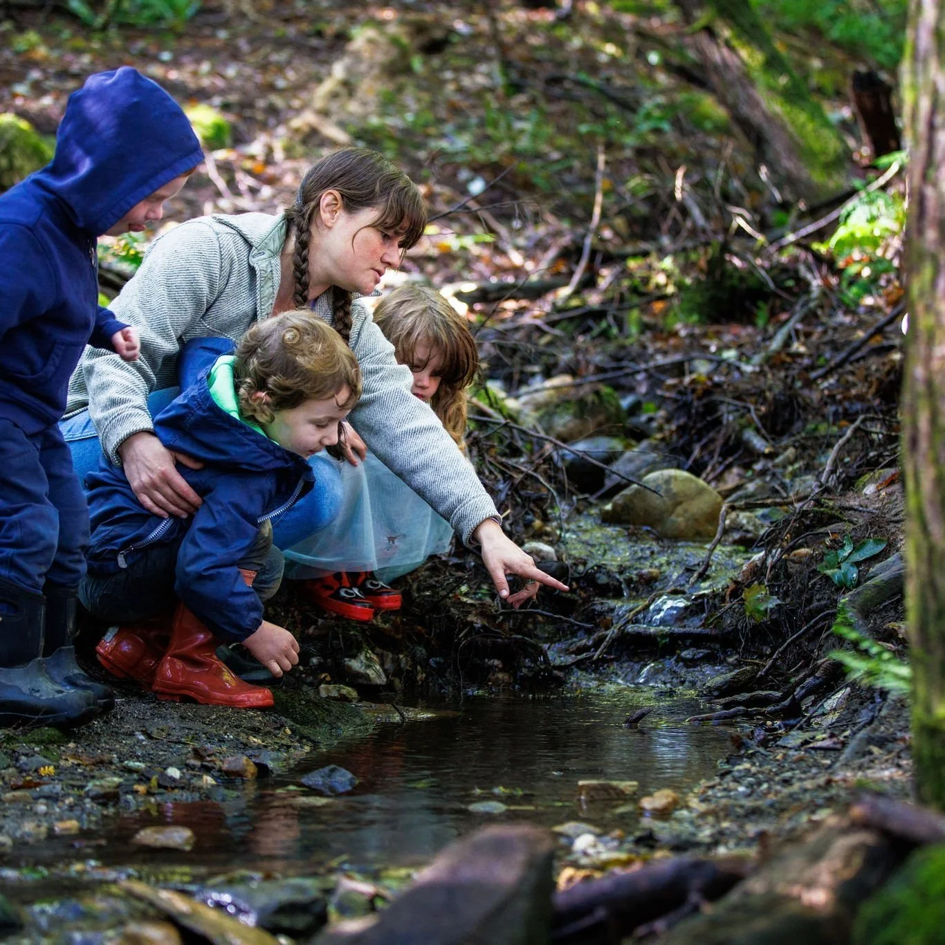The Grammar School | Independent School in Putney, Vermont for ...