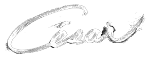 César