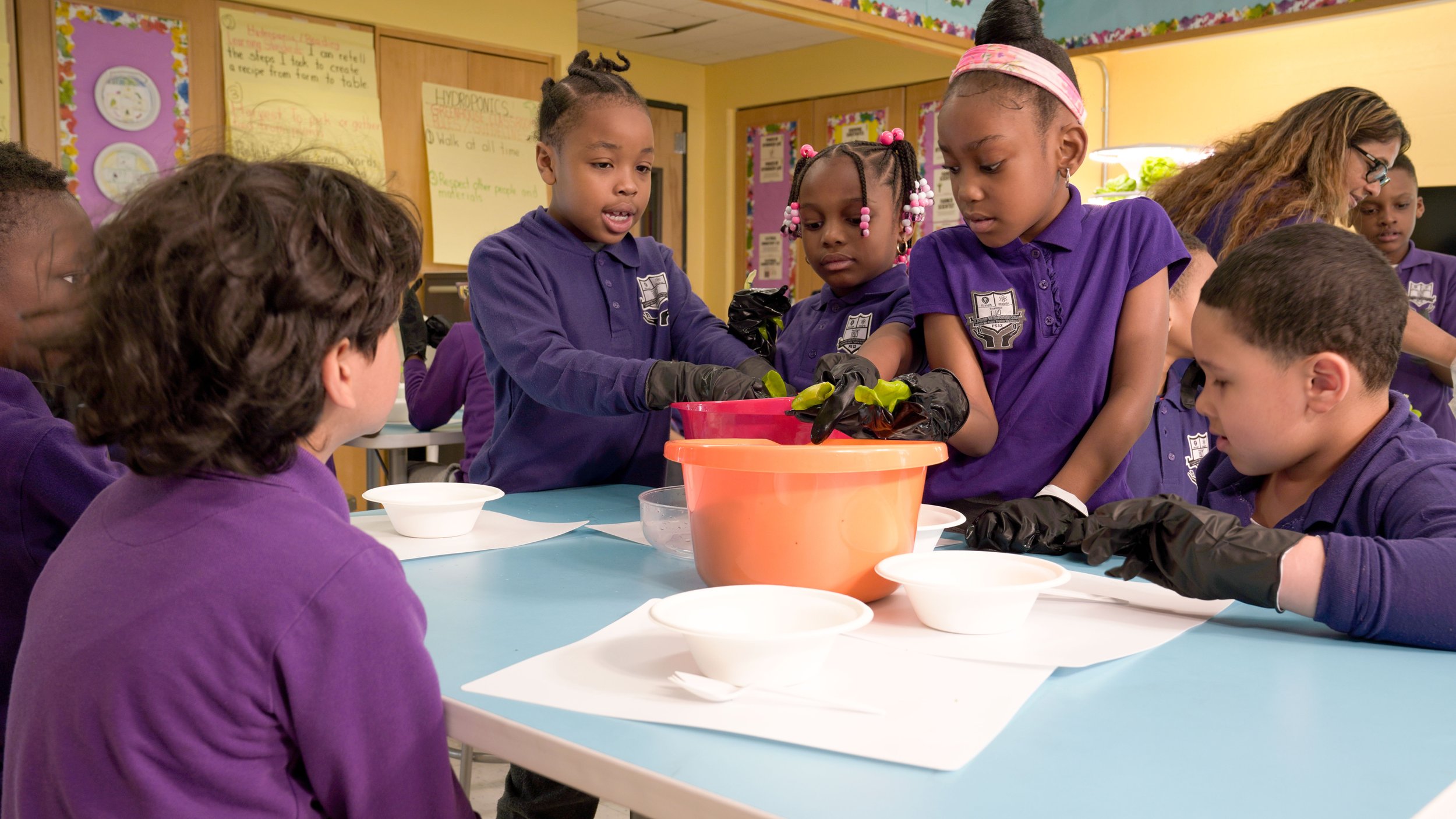 PS 12 - Dr. Jacqueline Peek-Davis Elementary School | PS 12, PS 12 ...