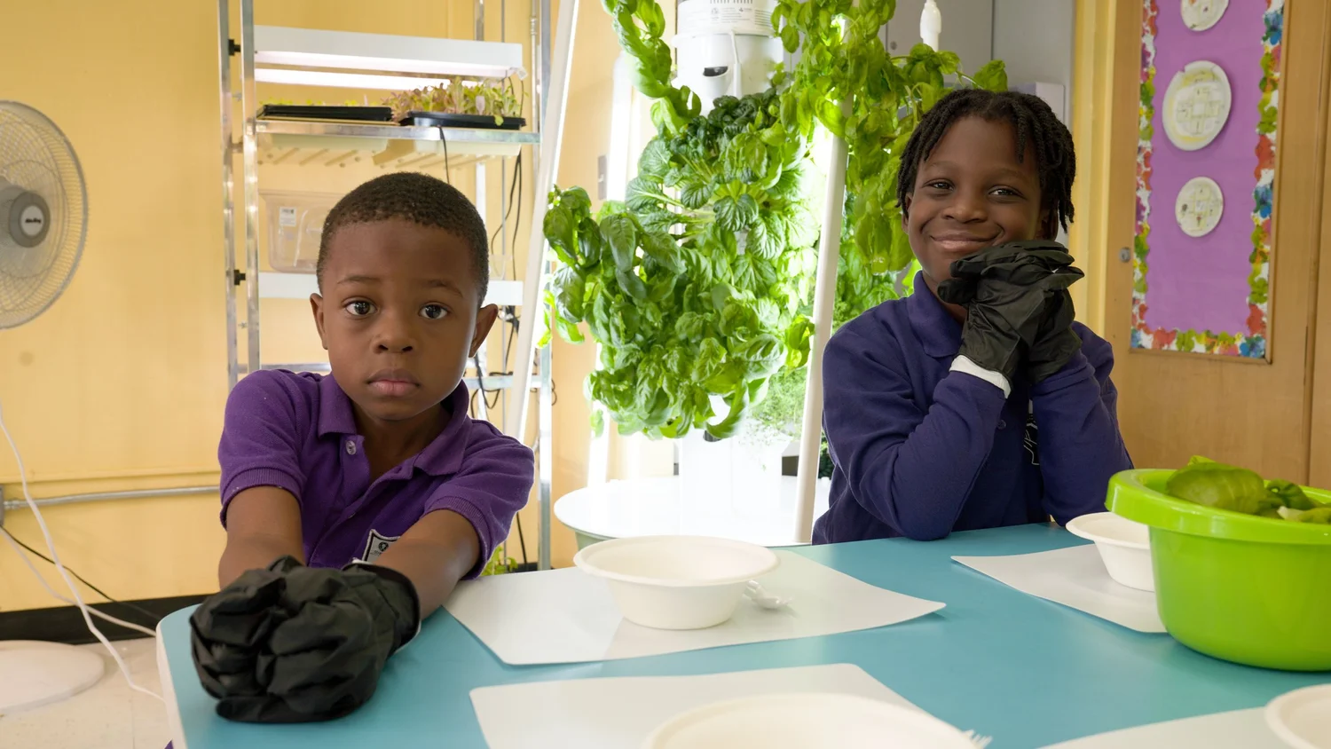 PS 12 - Dr. Jacqueline Peek-Davis Elementary School | PS 12, PS 12 ...