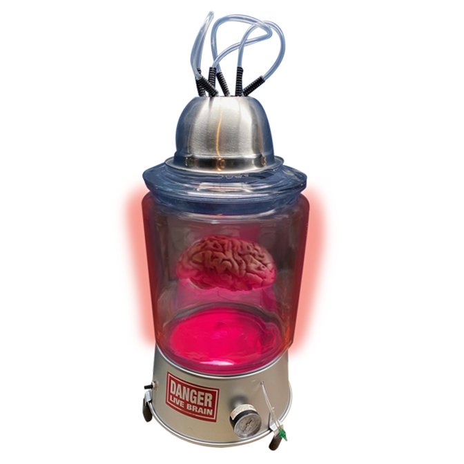 Brain in a jar — FrankensteinLabs.com