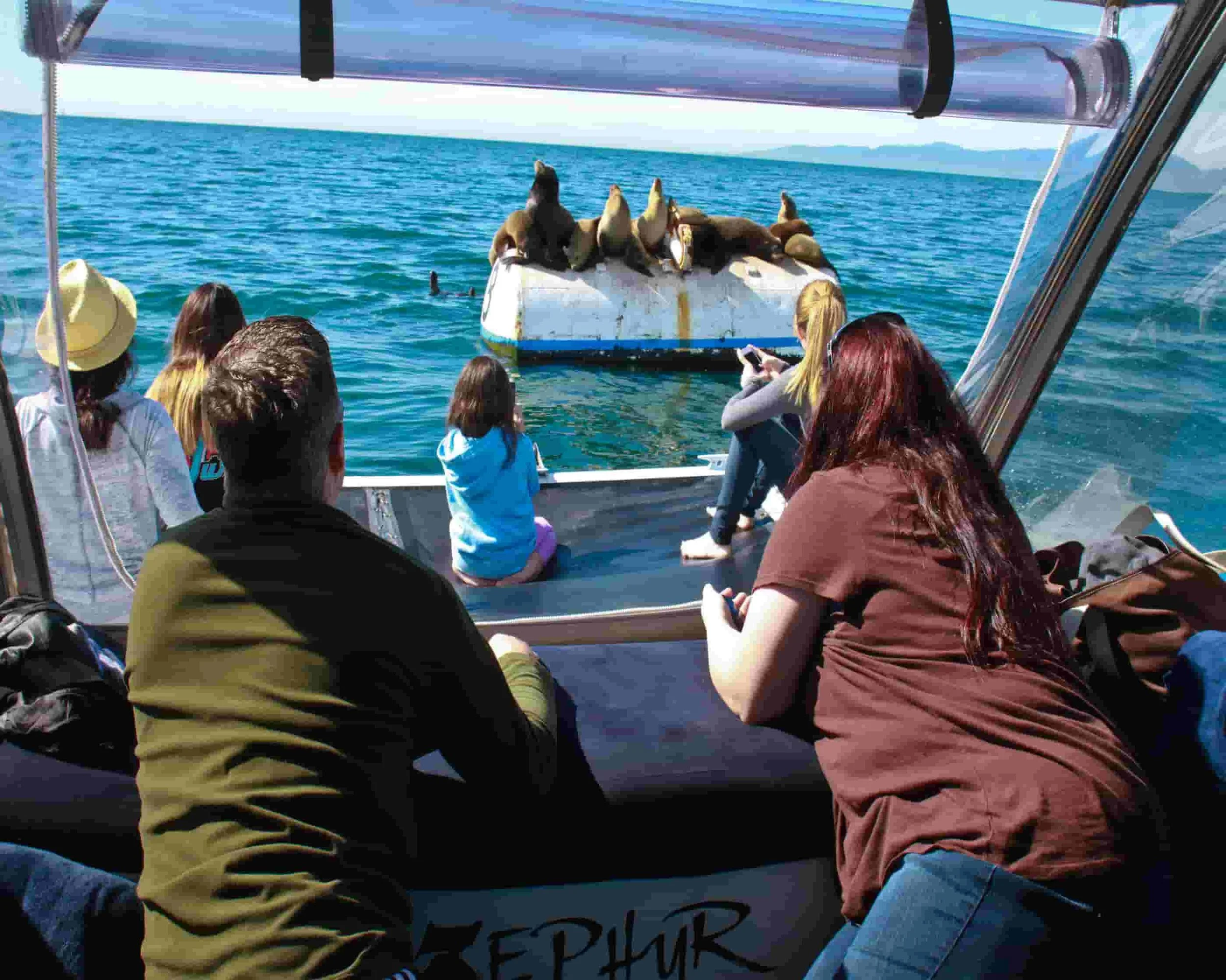 Surf Lessons and Boat Charters | Malibu Coastal Adventures