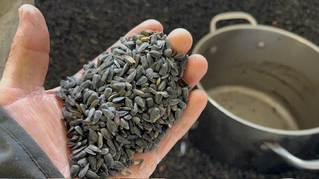 Northern Grain Growers Collaborative