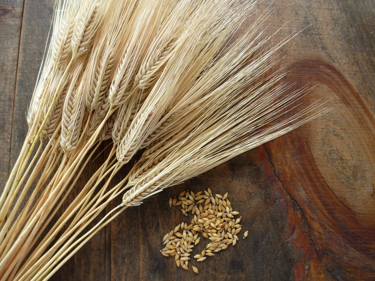 Resources — Northern Grain Growers Collaborative