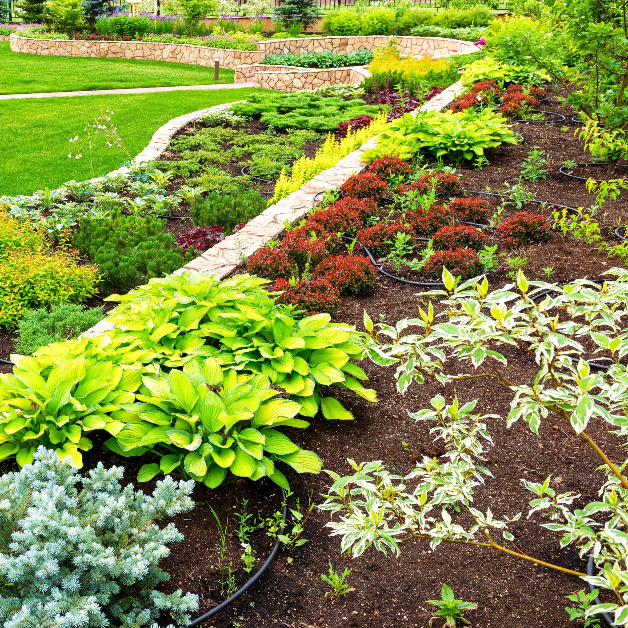 Landscape Design — Apex Landscape & Design