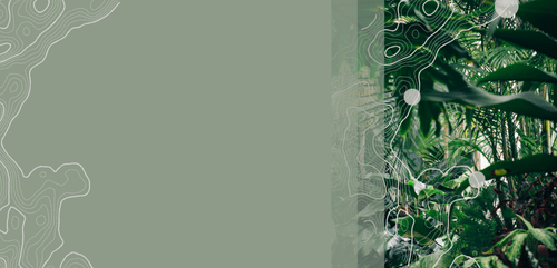 Products — NatureHelm