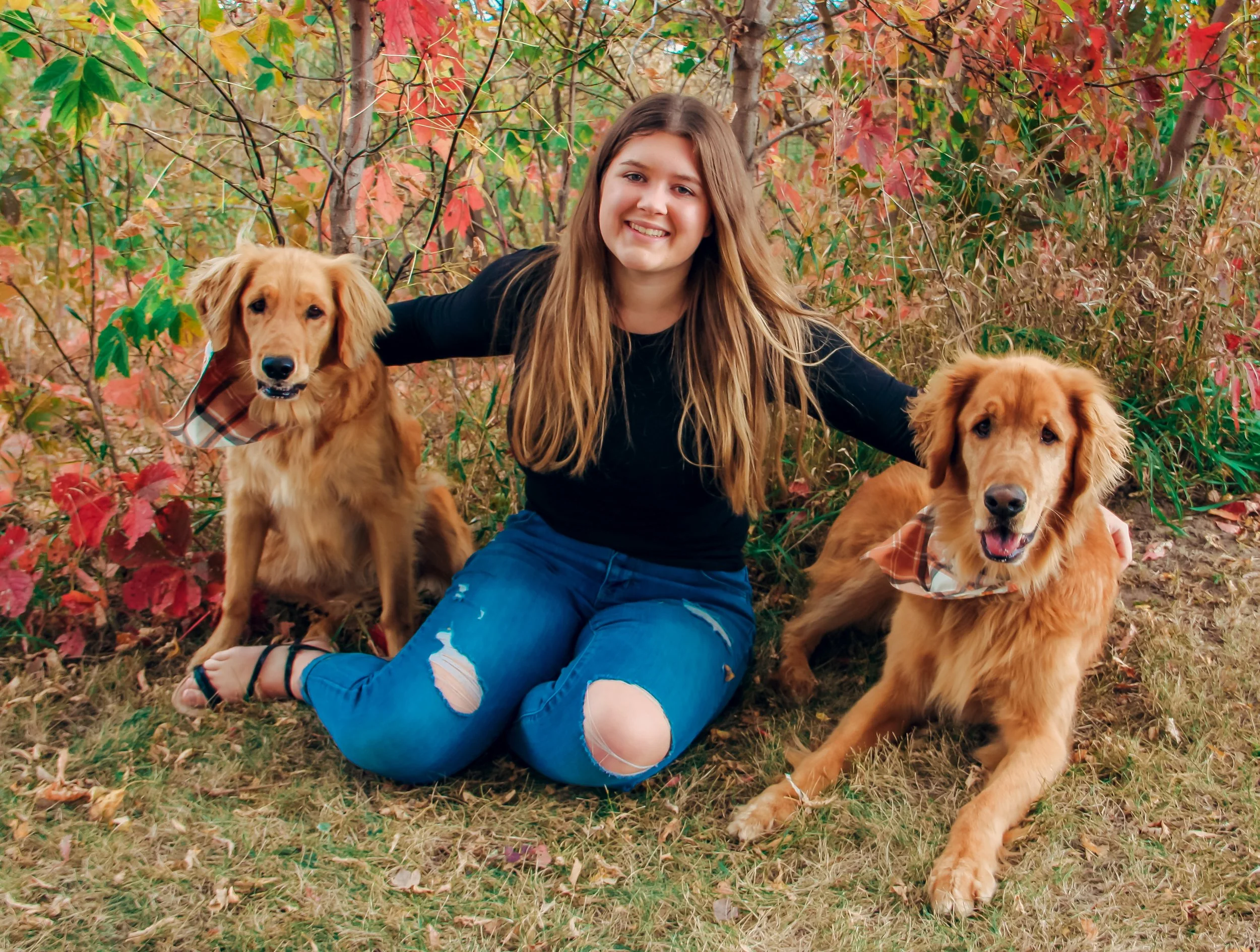 Team — 4 Paw Angels - Findlay