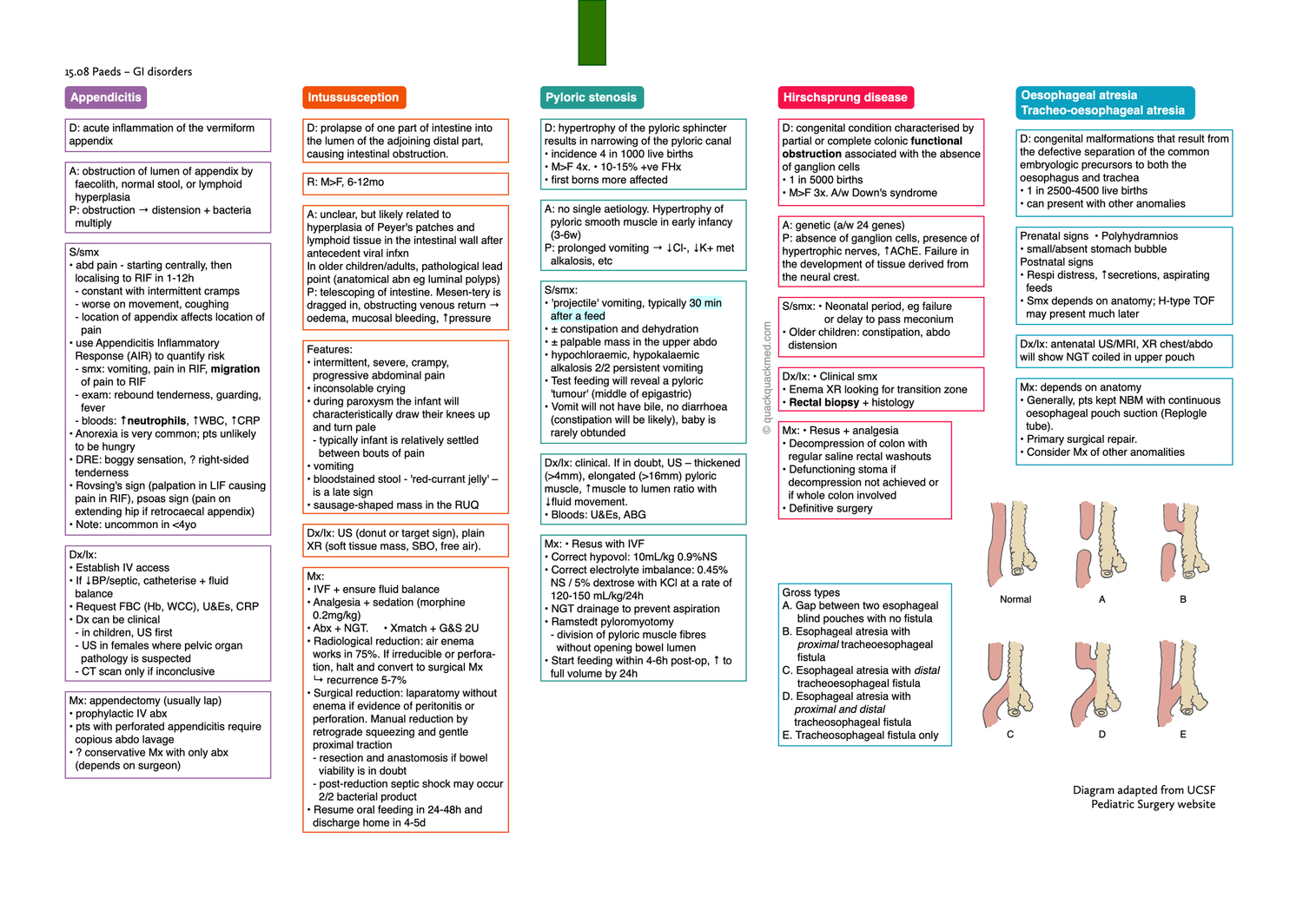 15.08 Paeds — quack quack med
