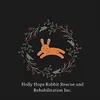 Holly Hops Rabbit Rescue and Rehabilitation Inc.