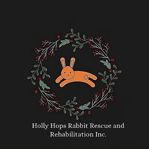Holly Hops Rabbit Rescue and Rehabilitation Inc.