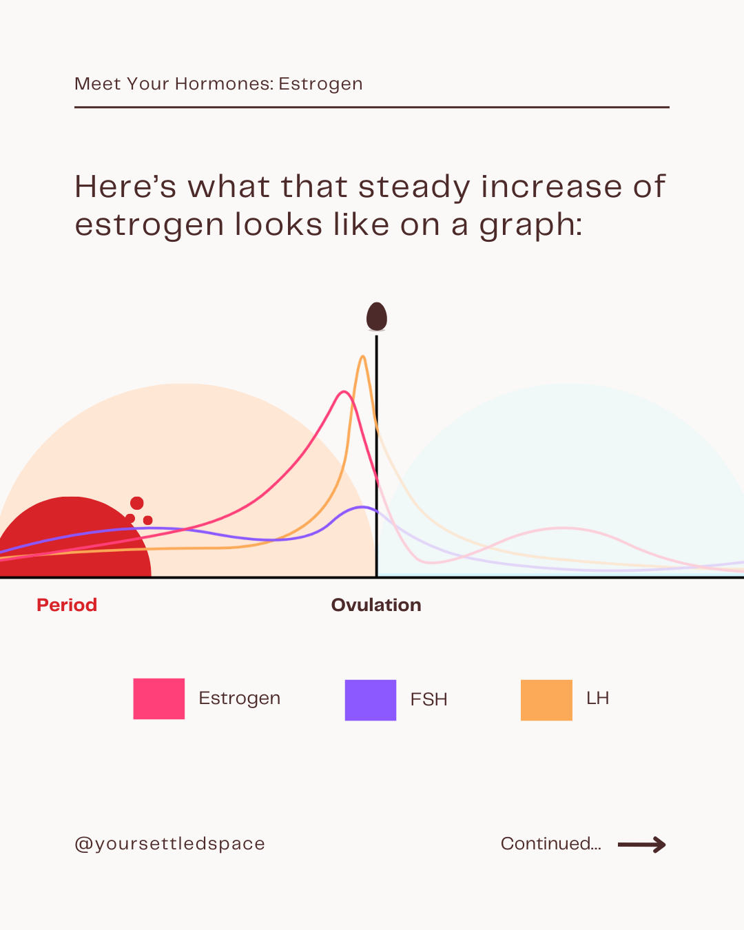 Meet Your Hormones: How Estrogen Affects the Menstrual Cycle — Your ...