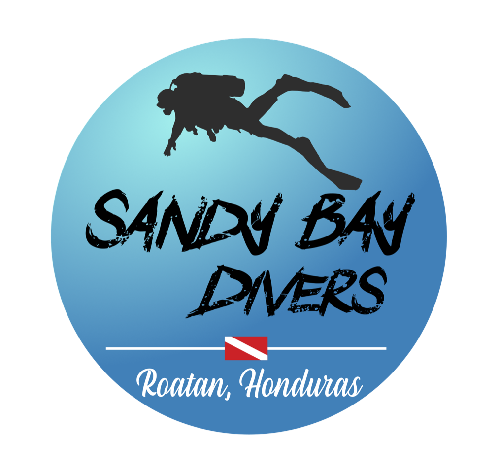 Sandy Bay Divers