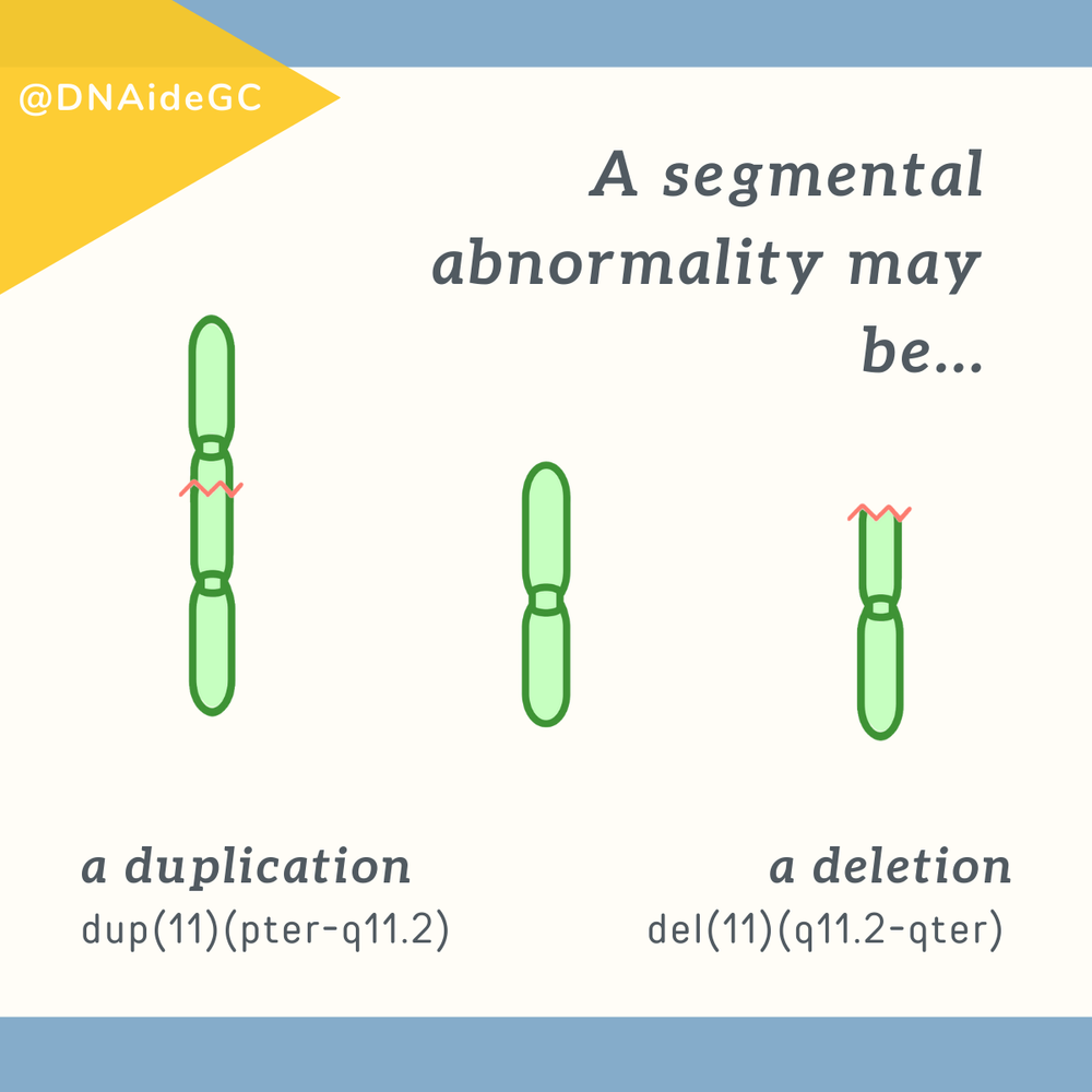 Guide to "Abnormal" PGT-A Results — DNAide Genetic Counselling