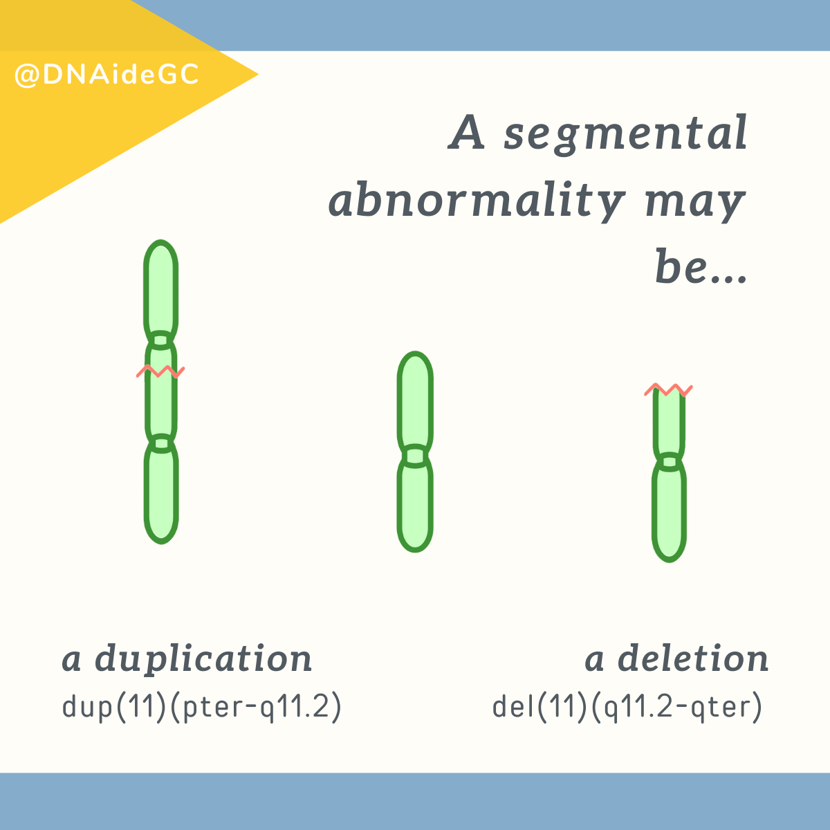 Guide to "Abnormal" PGT-A Results — DNAide Genetic Counselling