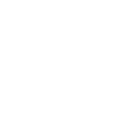 Original Cabbage Soup Diet — Cabbage Soup Lady