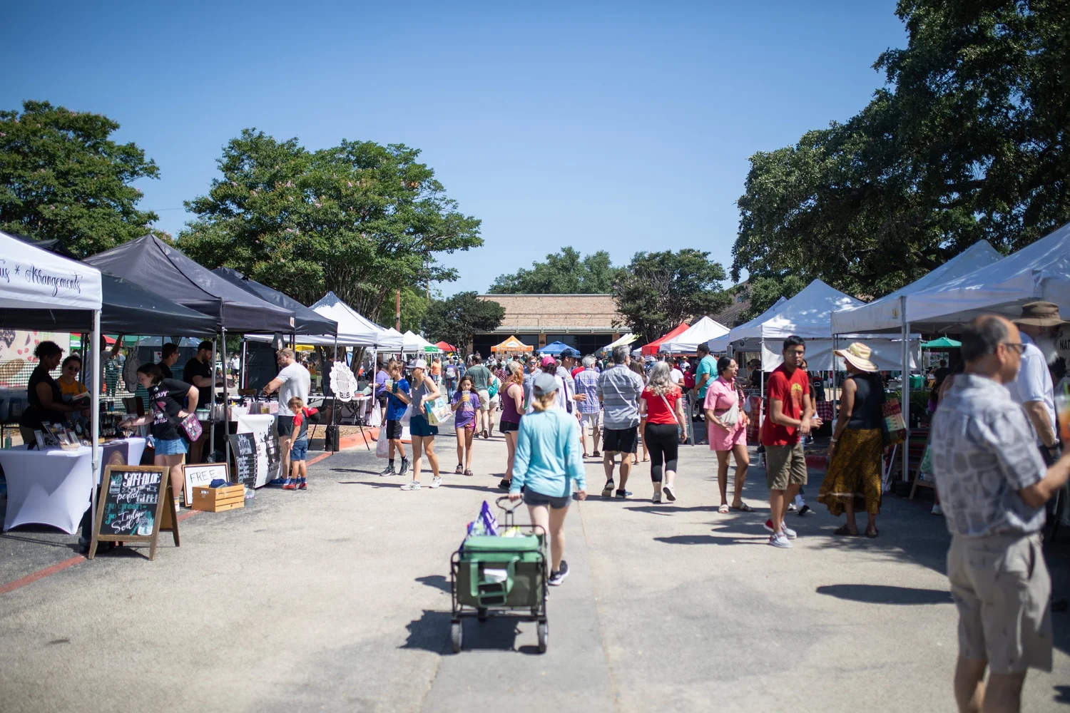 TFM at Bell — Texas Farmers Market