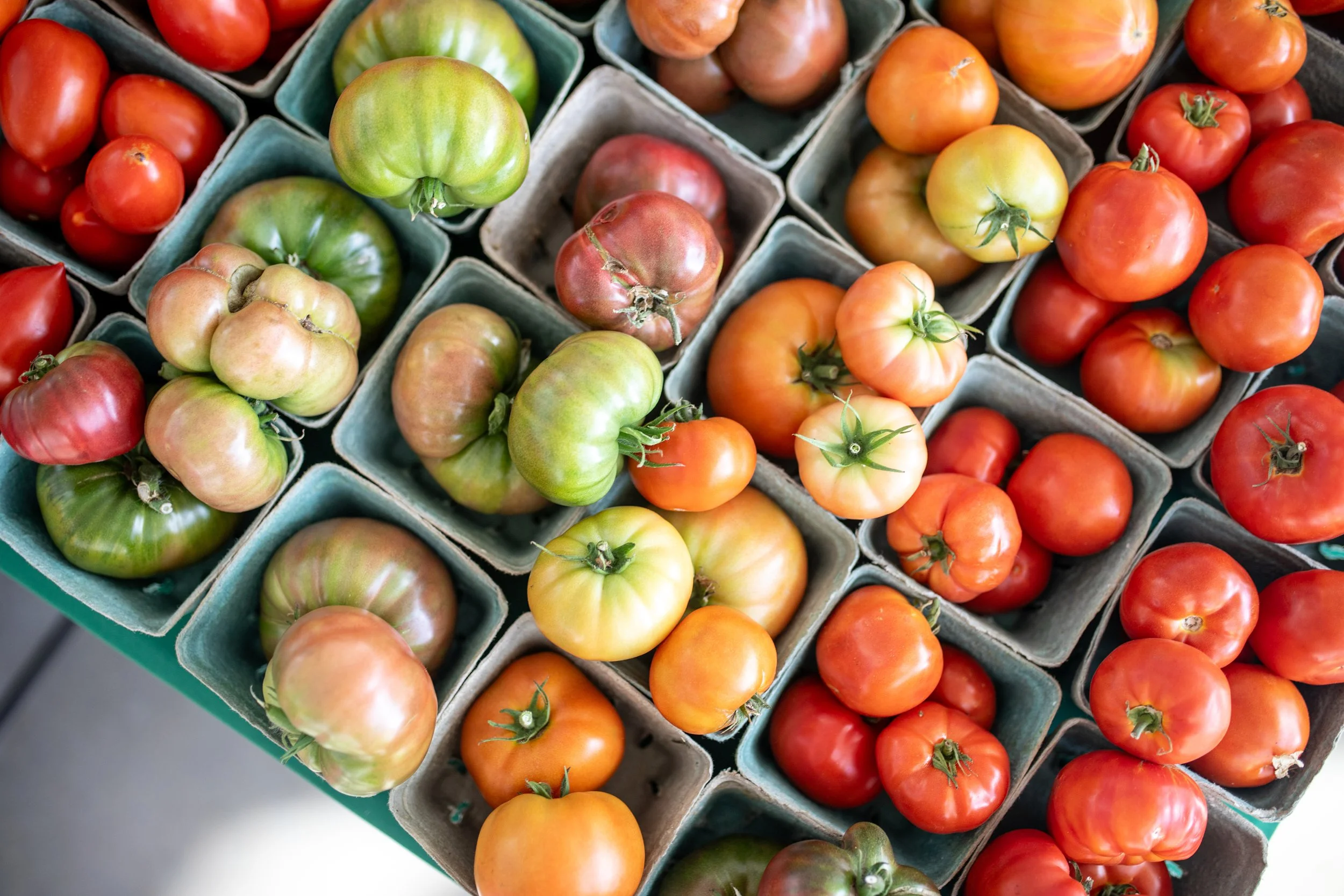 Texas Farmers Market | Find Fresh Produce