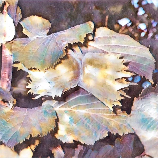 Hazel's on Main | Great dining and cozy atmosphere in Monmouth, Oregon