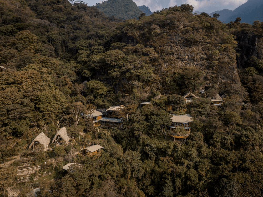 Our Kawoq Forest Story - Formerly known as the Yoga Forest — Kawoq Forest