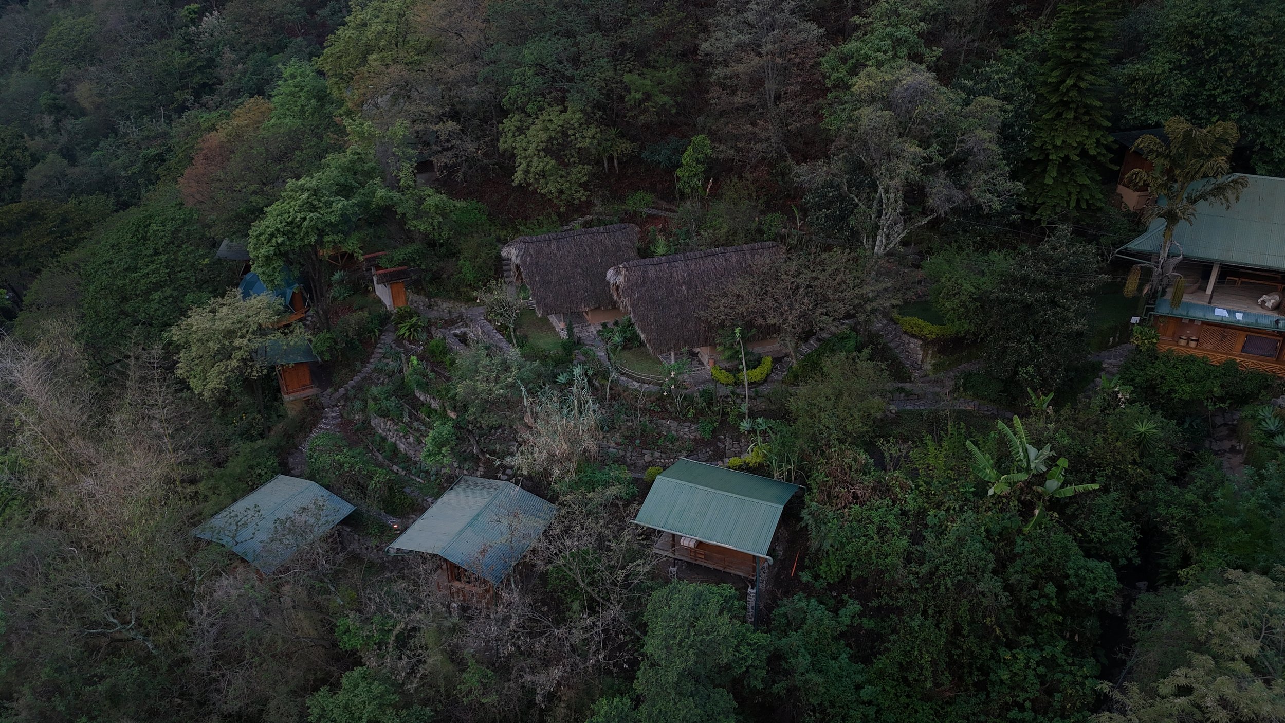 Kawoq Forest: Let the Forest Embrace You