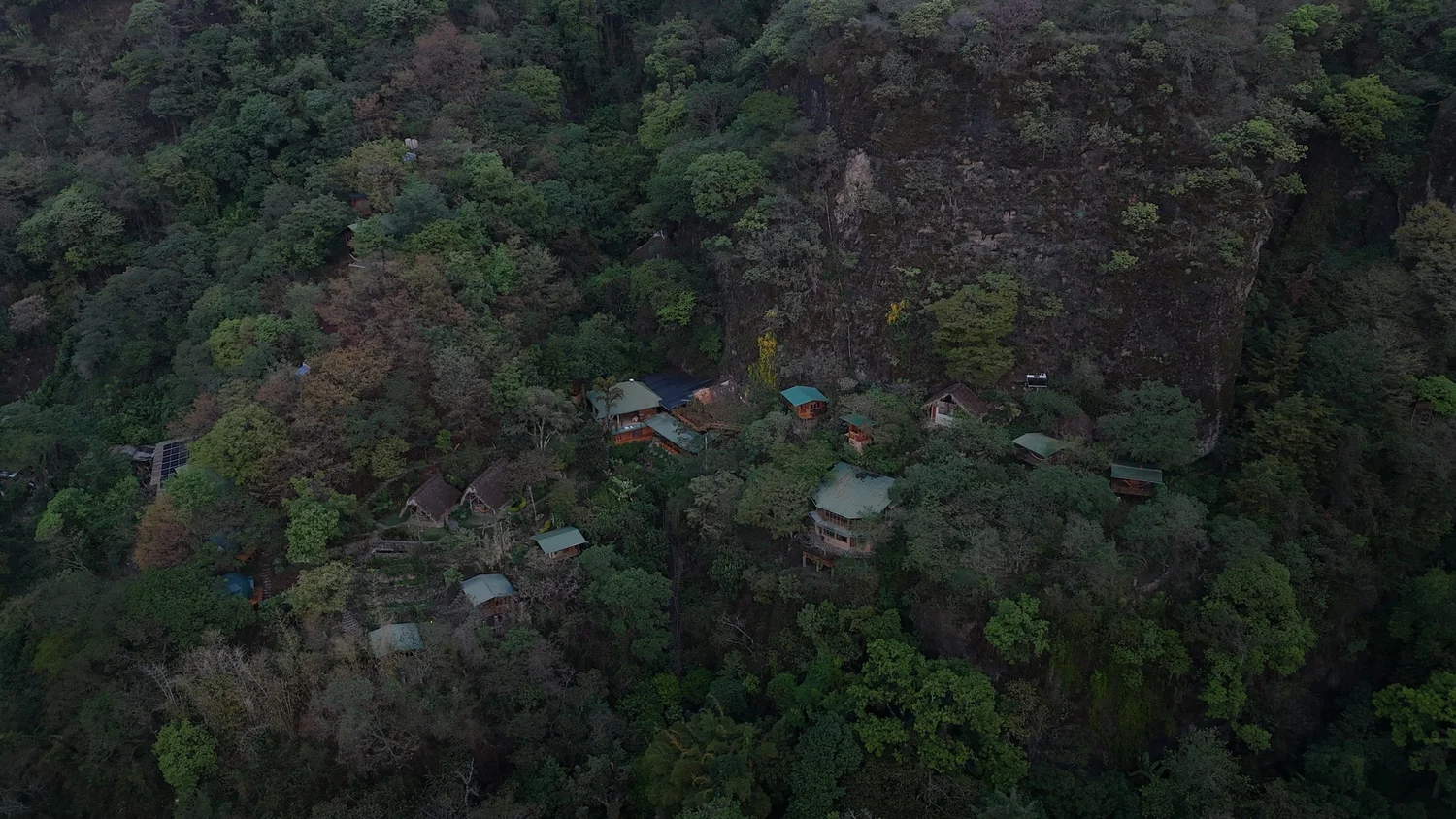 Kawoq Forest: Let the Forest Embrace You