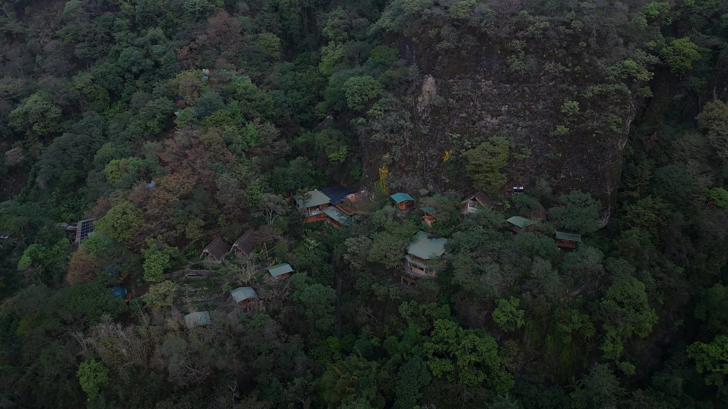Kawoq Forest: Let the Forest Embrace You