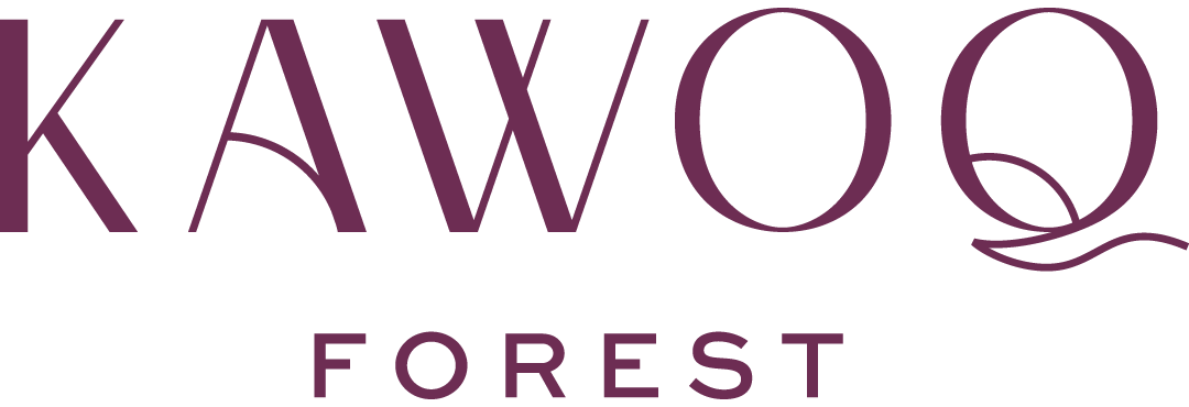 Kawoq Forest: Let the Forest Embrace You