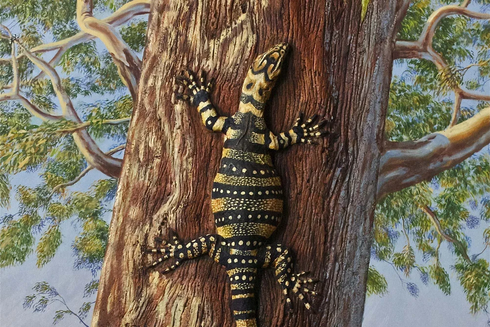 Goanna's Meal Time — Geoffrey Woodward