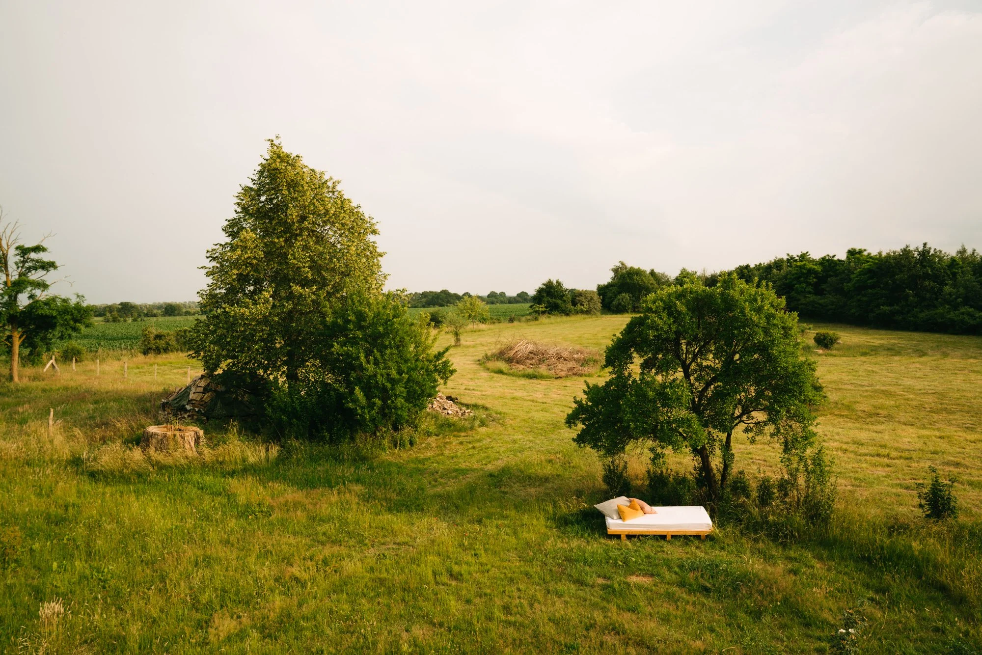 retreat pricing — Jane Kim 金