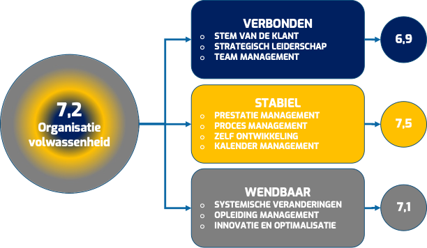 BIEB Organisatie volwassenheidsscan — JVB BIEB-Organisatieontwikkeling