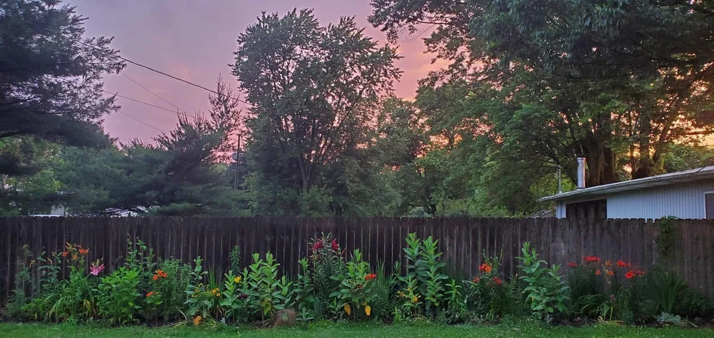 About — Finch & Fen Permaculture