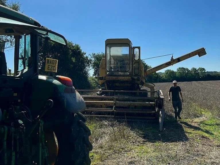 What We Do — Middlecott Farm