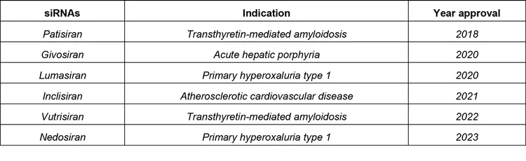 Exploring antisense oligonucleotides and small interfering RNAs: advanced RNA therapeutic ...