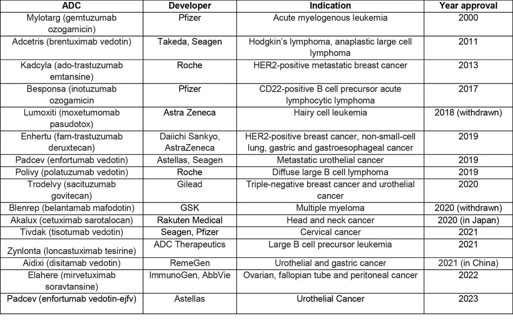 Antibody-Drug Conjugates (ADCs): an Advanced Therapeutic Modality in ...
